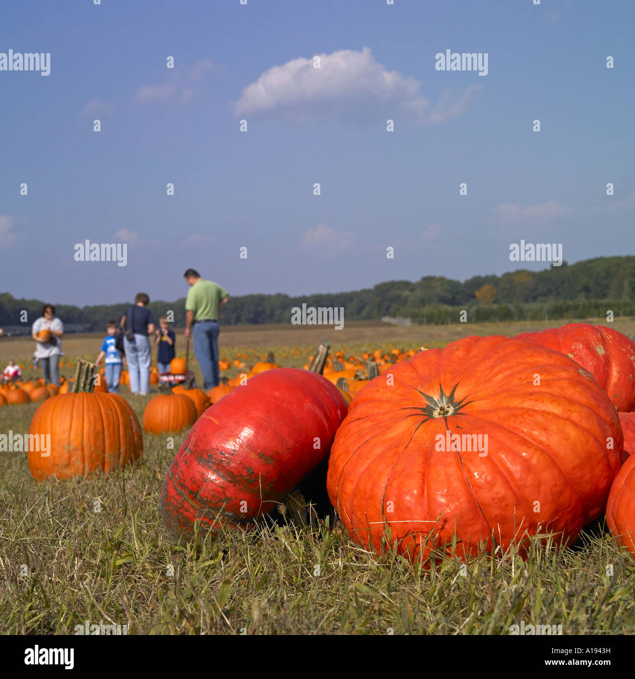 Family laying in field at night hi-res stock photography and images - Alamy