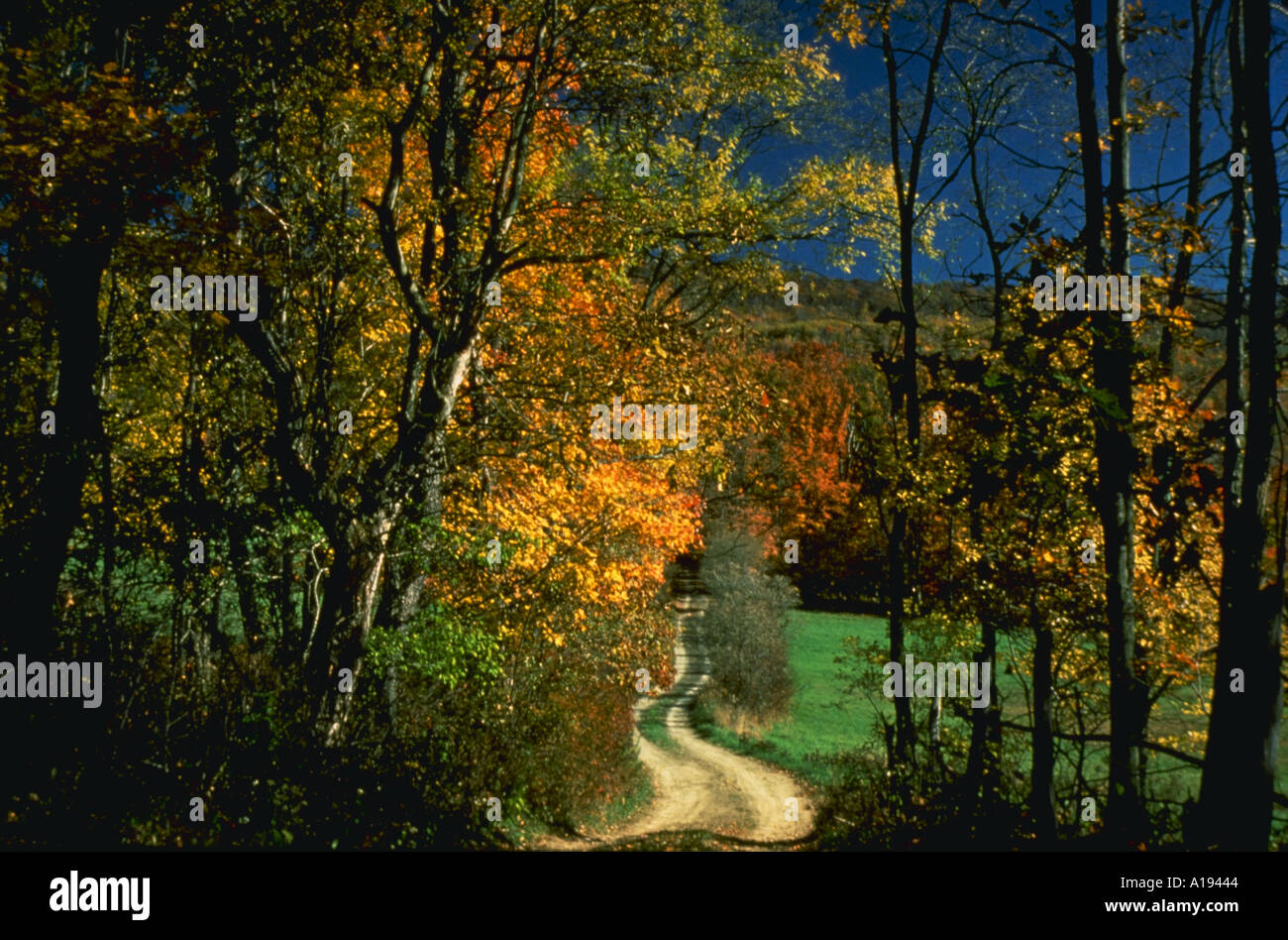 Dirt country road along field with trees with fall colors Stock Photo ...
