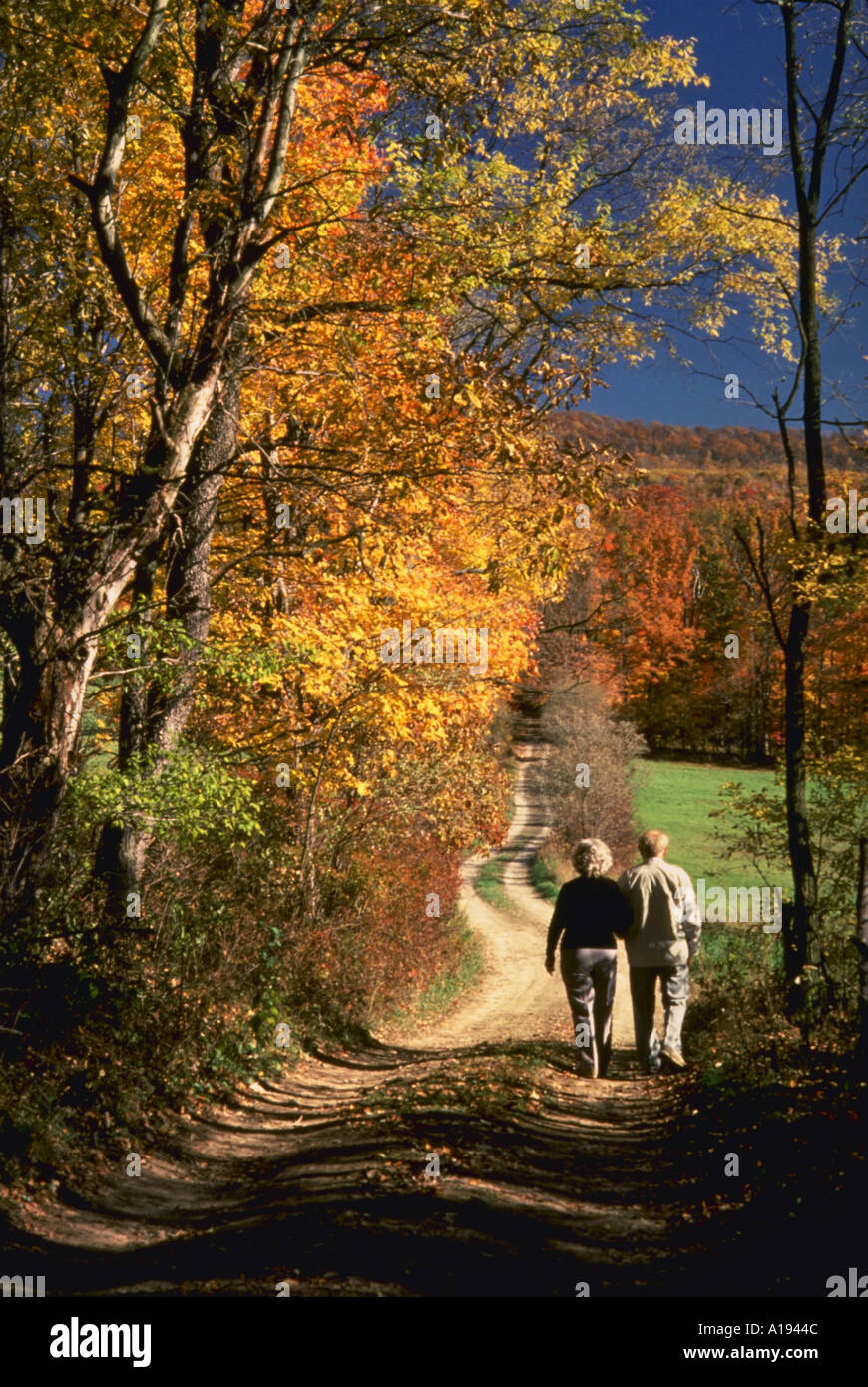 Senior couple walking along dirt road lined with fall colors Stock ...