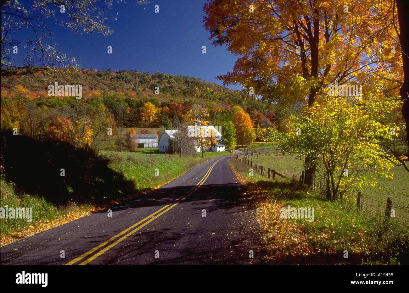 Country road lined with fall foliage Stock Photo - Alamy