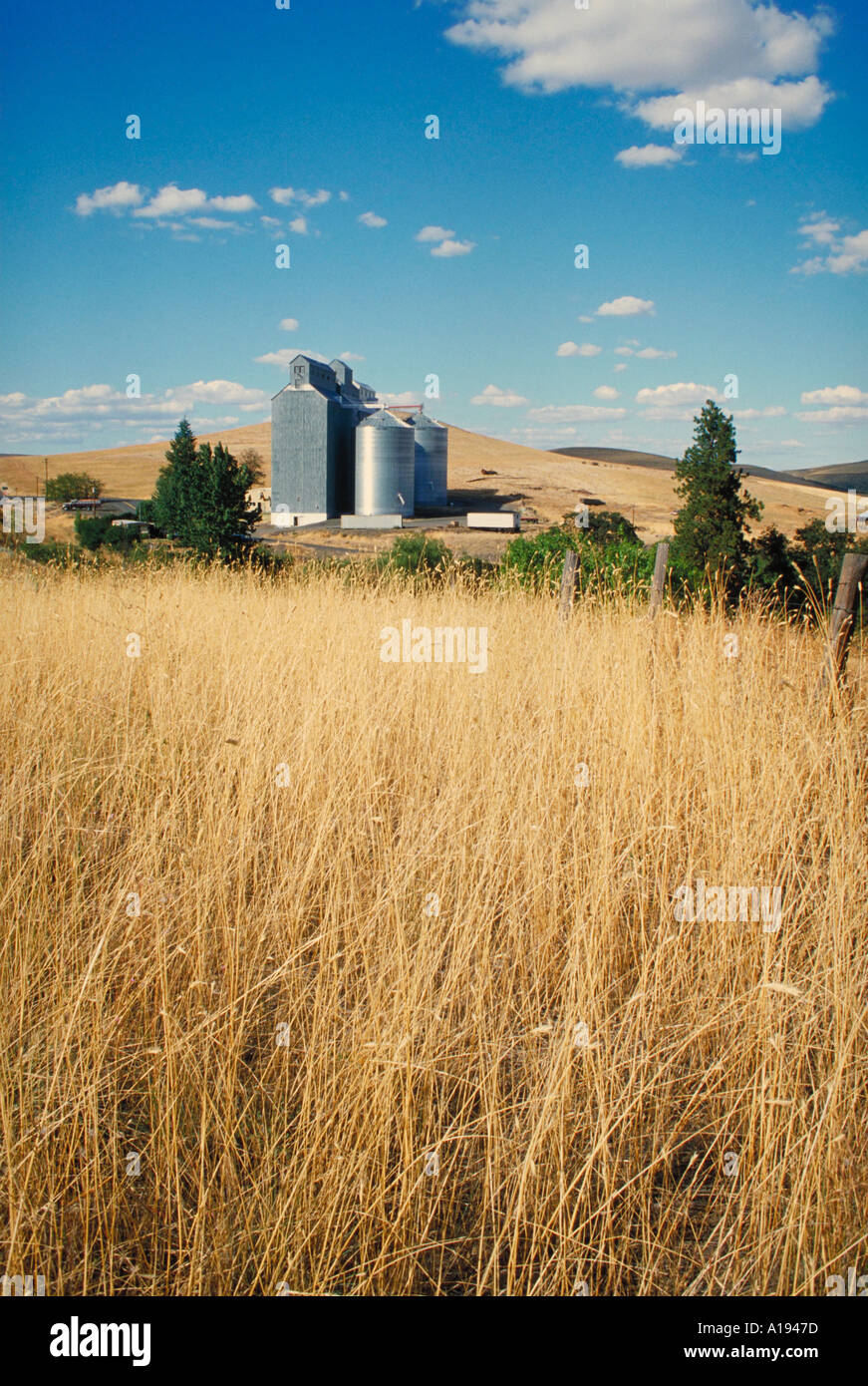 Industrial farm united states hi-res stock photography and images - Alamy