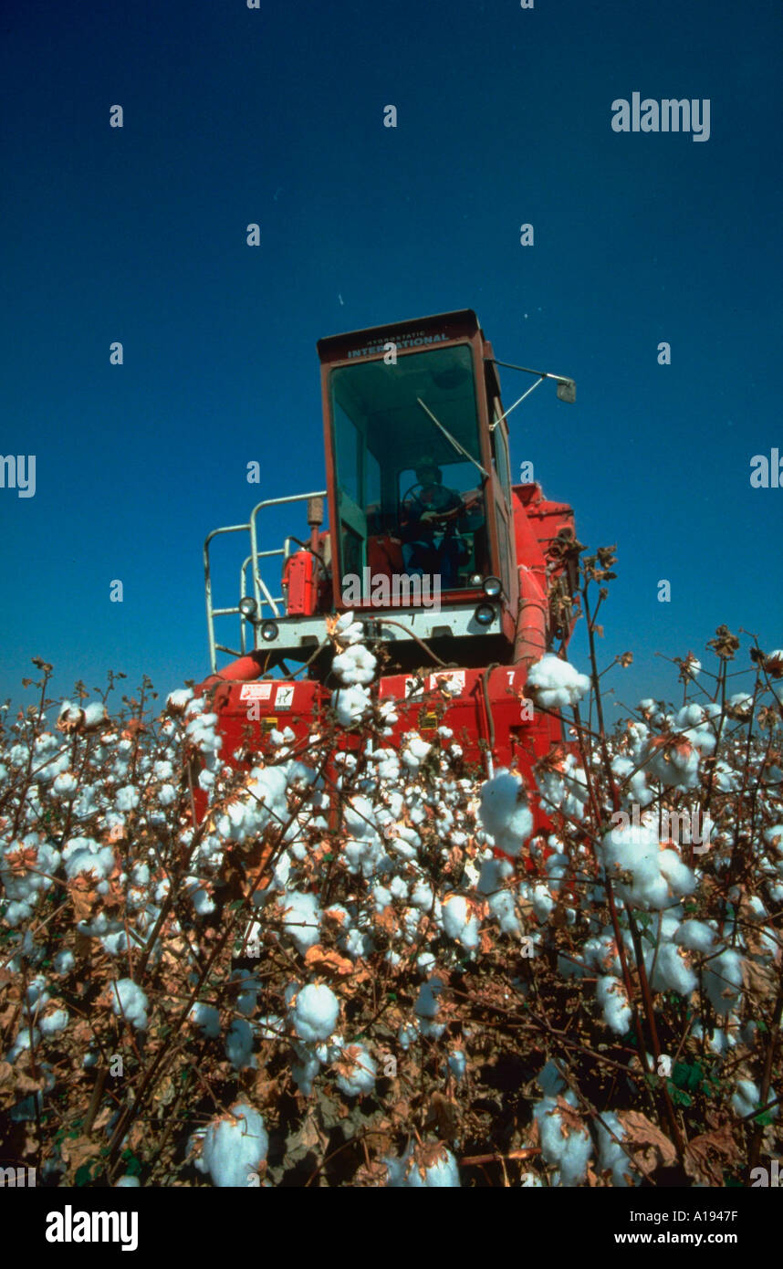 Cotton harvester hi-res stock photography and images - Alamy