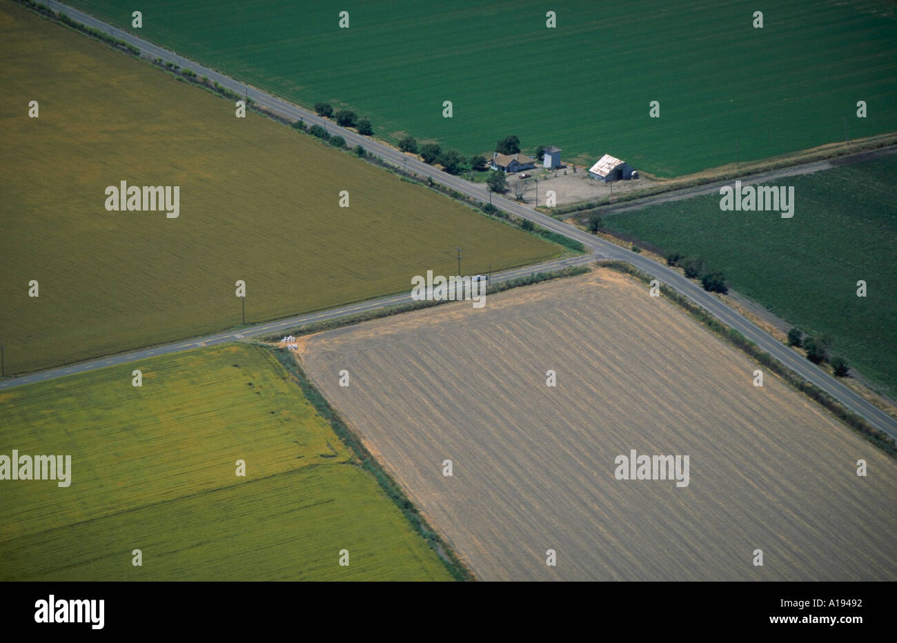 Mark greening hi-res stock photography and images - Alamy