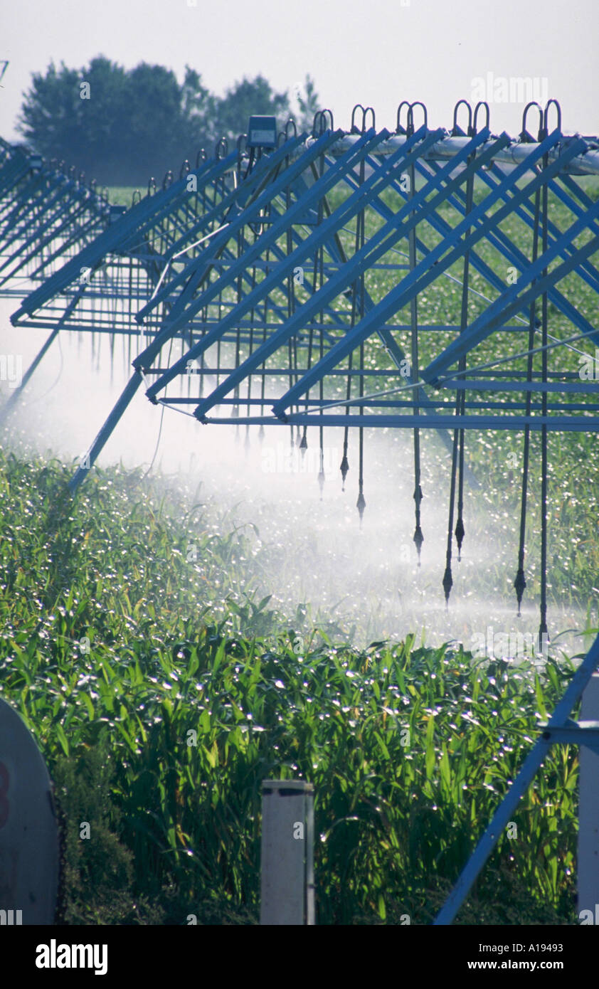 Corn field water management hi-res stock photography and images - Alamy