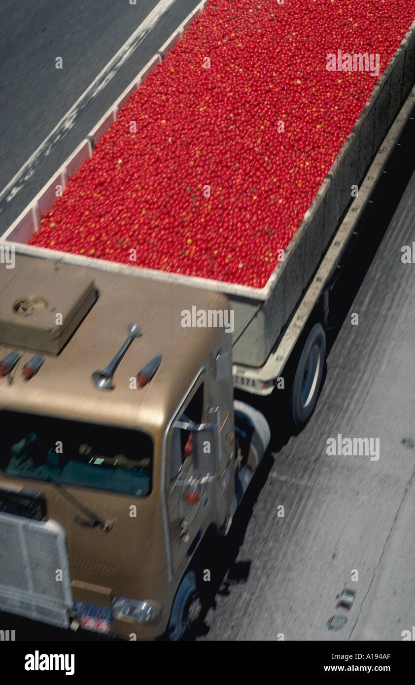 Tomato Harvest Truck High Resolution Stock Photography and Images - Alamy
