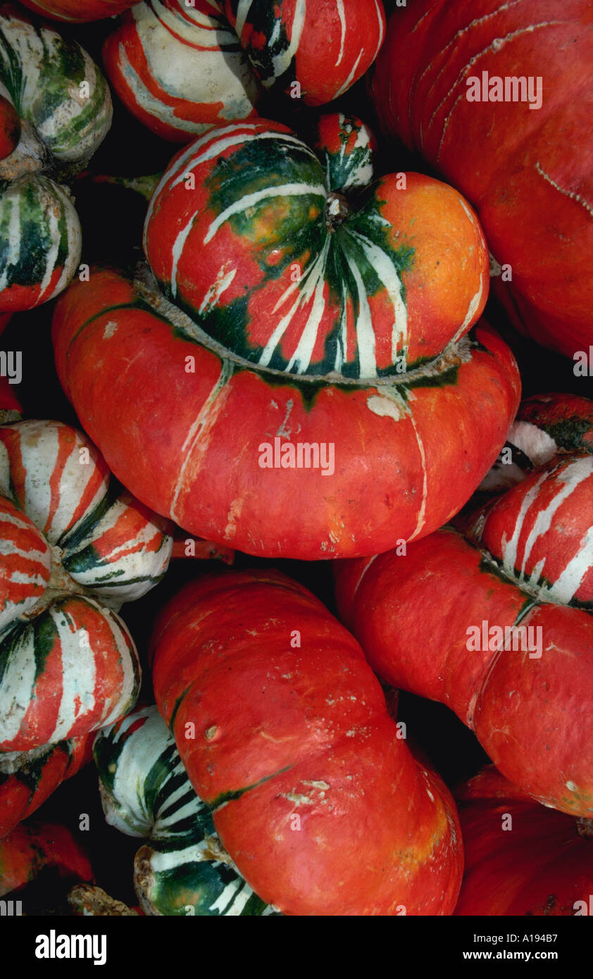 Multi production hi-res stock photography and images - Alamy