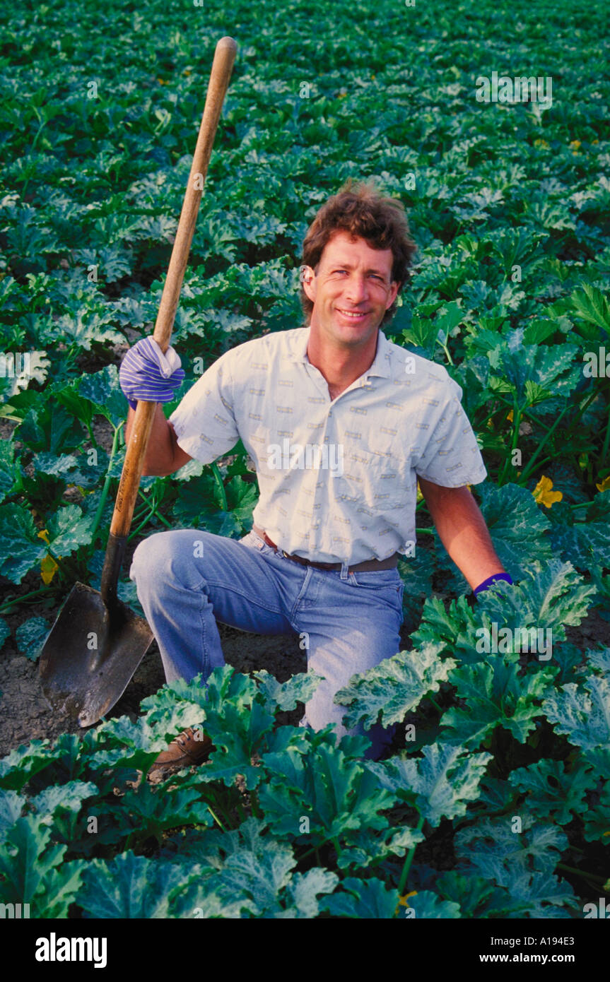 young farmer in squash field Tracey CA Stock Photo - Alamy