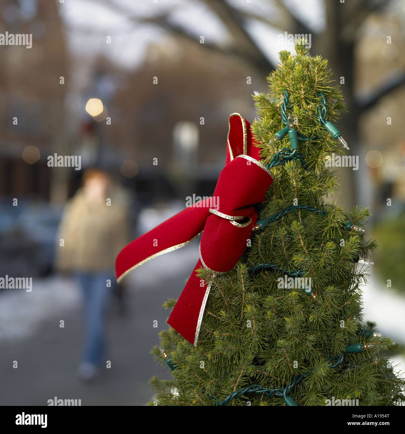 Christmas tree on street close hi-res stock photography and images - Alamy