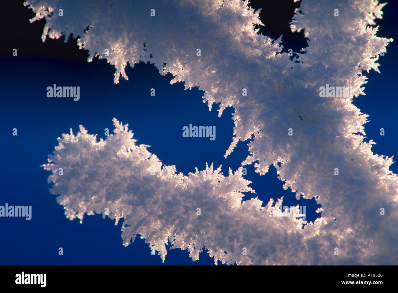 Arctic frost crystals, horizontal hi-res stock photography and images ...