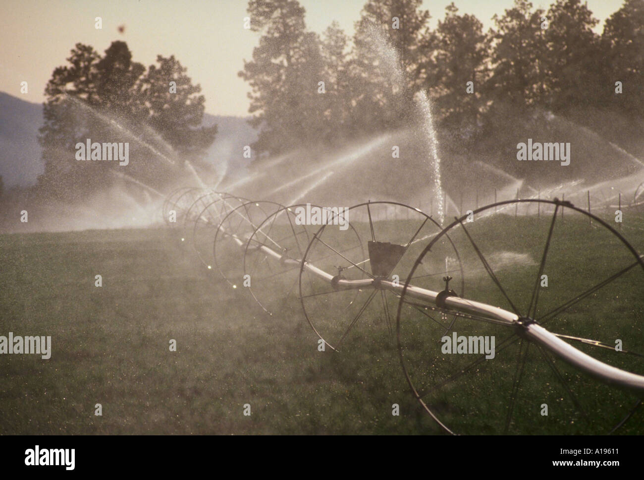 Farmland irrigation sprinkler system Stock Photo - Alamy