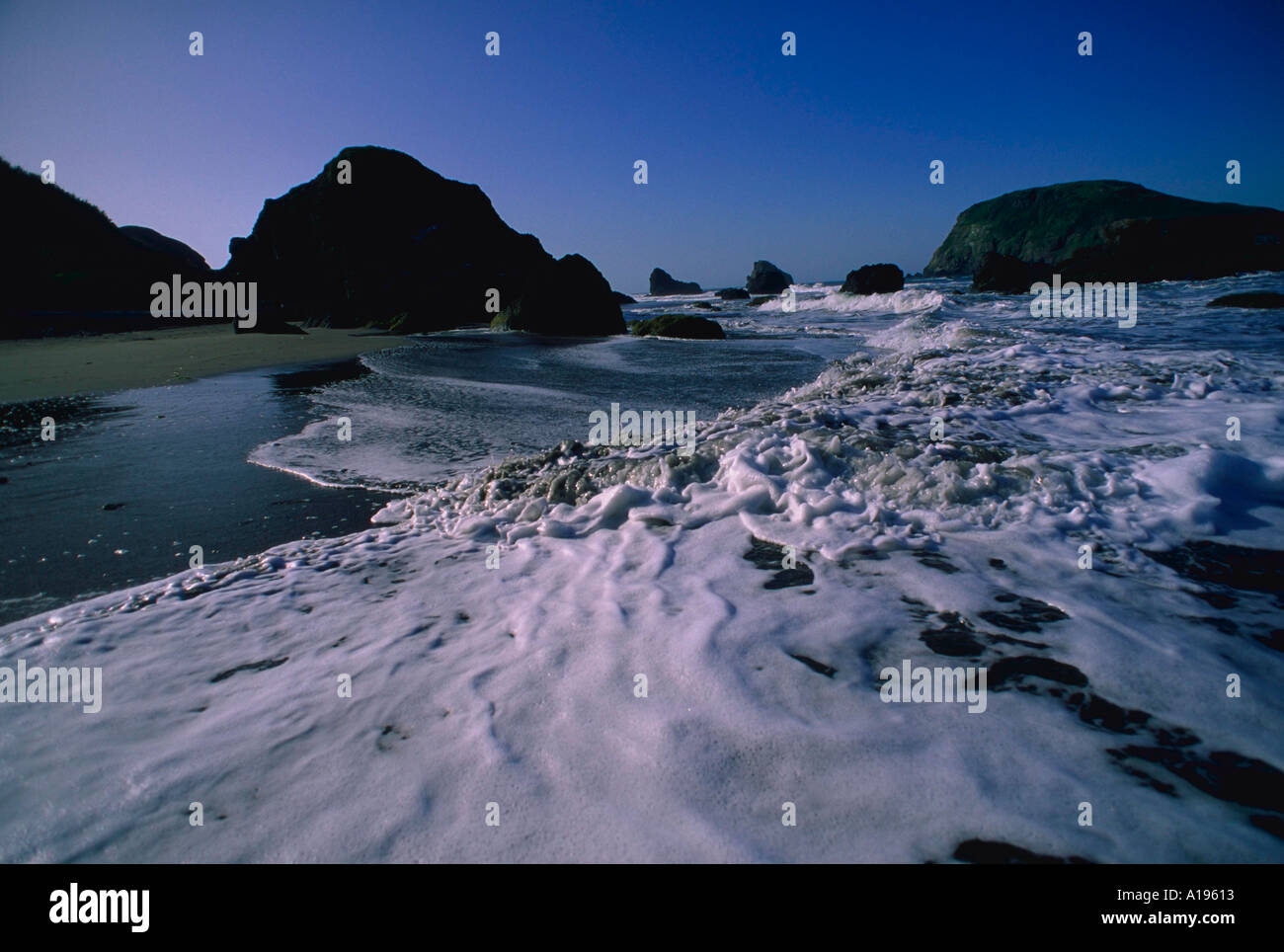 Sea rim state park hi-res stock photography and images - Alamy