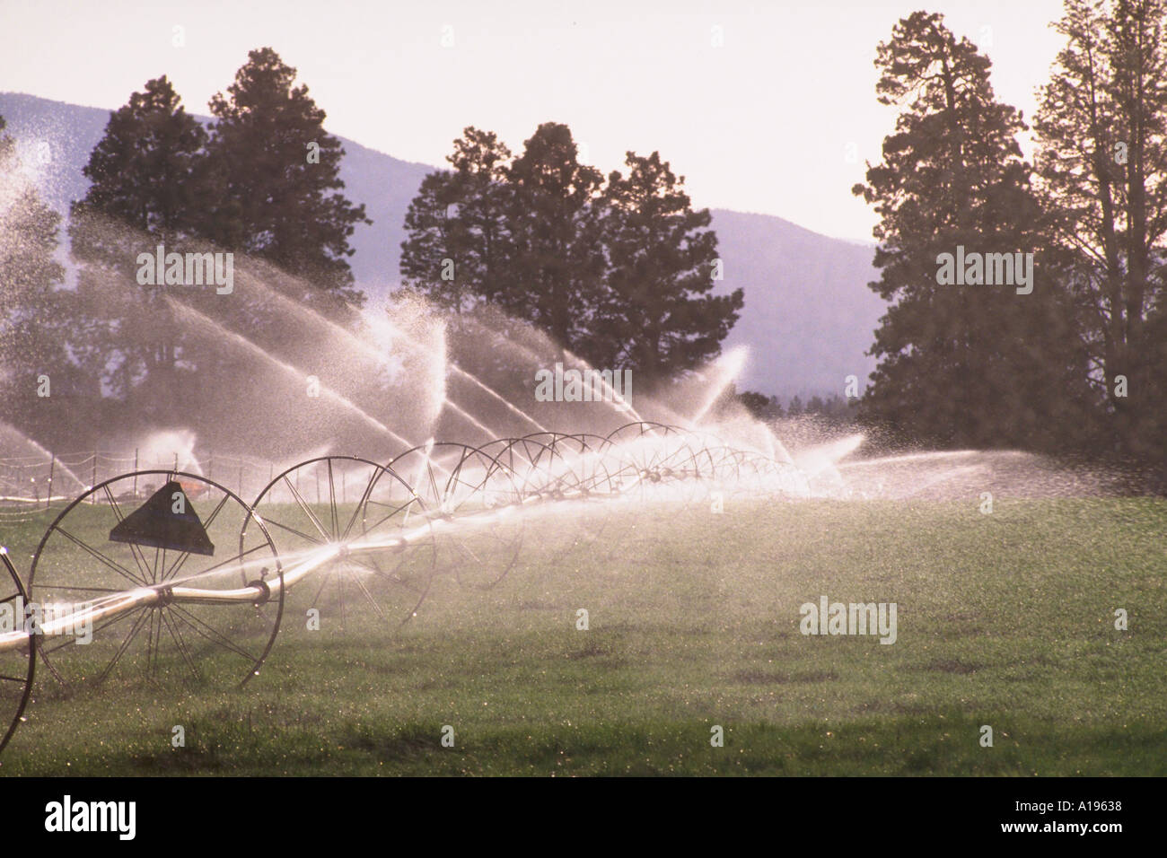 Farmland irrigation sprinkler system Stock Photo - Alamy