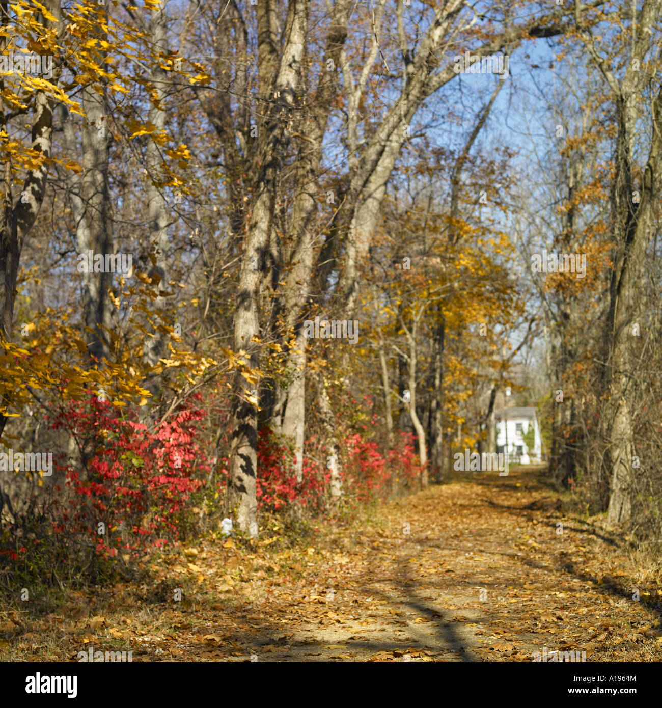 Hidden alley way hi-res stock photography and images - Alamy