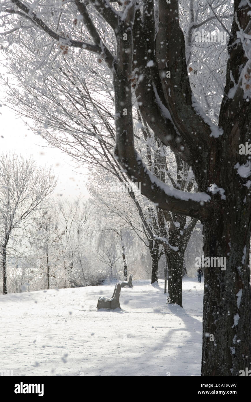 Fredericton snow storm hi-res stock photography and images - Alamy