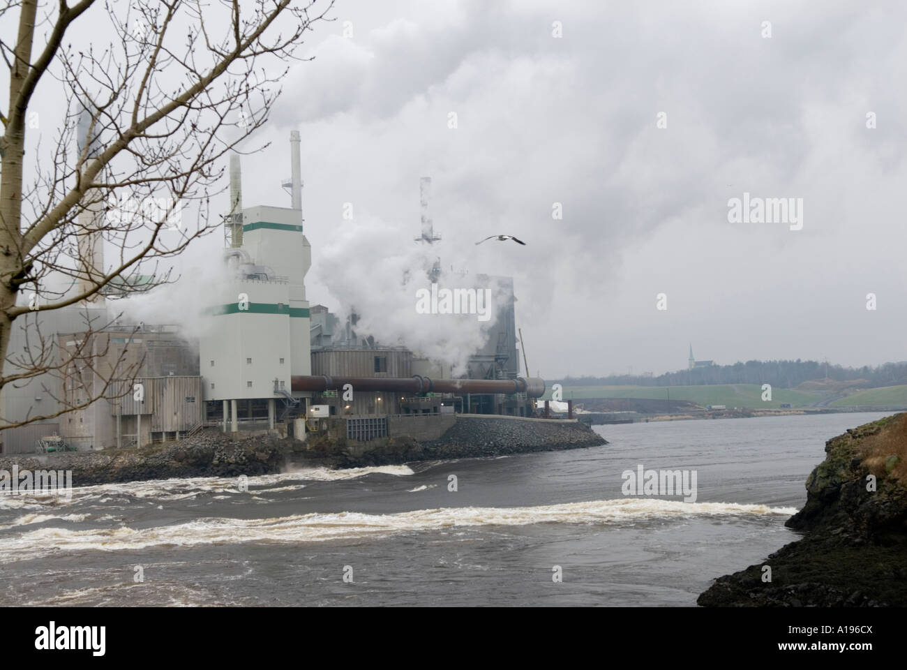 Pulp and paper hi-res stock photography and images - Alamy