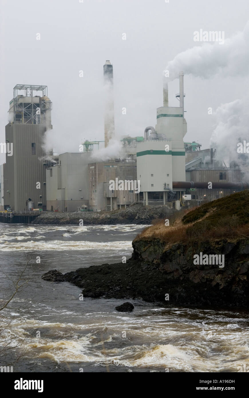 Irving pulp and paper mill in Saint John New Brunswick Stock Photo - Alamy