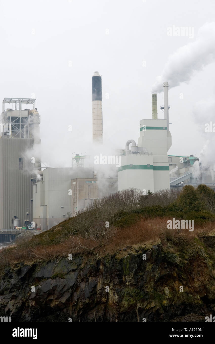 Pulp and paper hi-res stock photography and images - Alamy