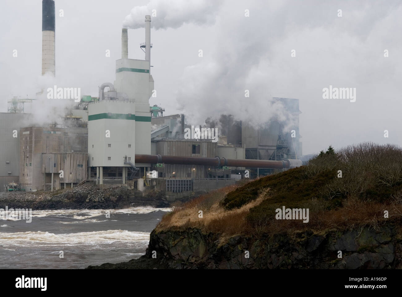 Pulp and paper hi-res stock photography and images - Alamy