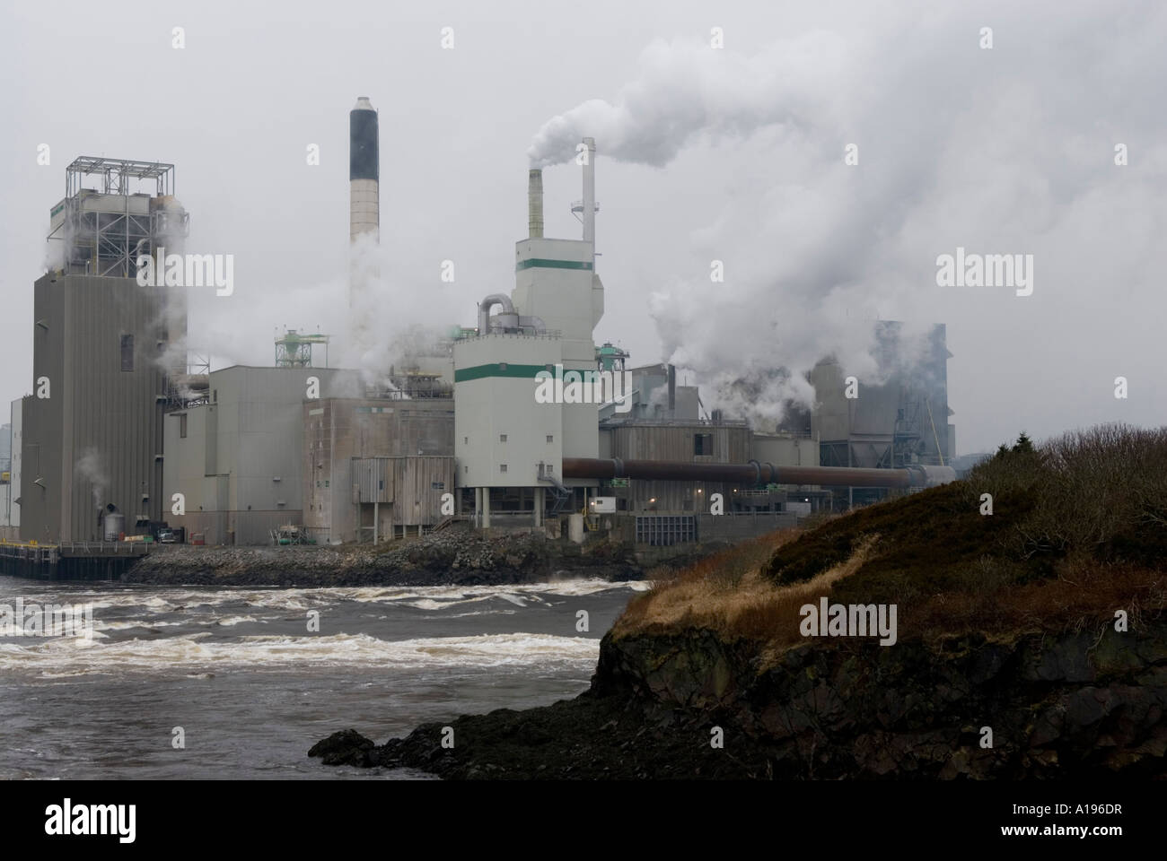 Irving pulp and paper mill hi-res stock photography and images - Alamy