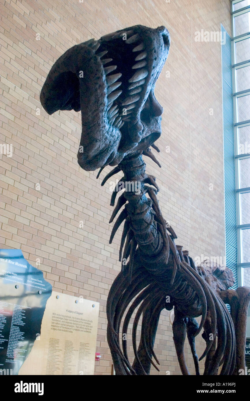 Prehistoric automated at the Science Museum. St Paul Minnesota MN USA ...