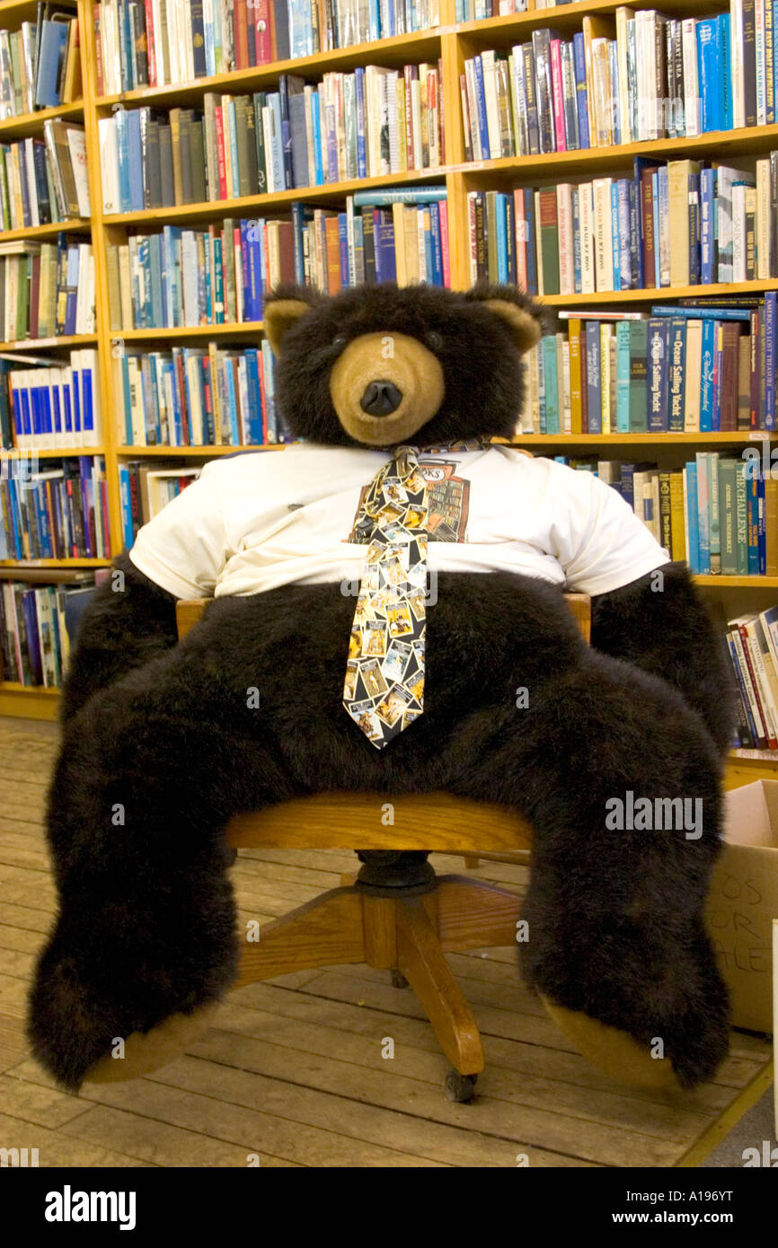 Giant stuffed bear in bookstore. Washburn Wisconsin WI USA Stock Photo ...