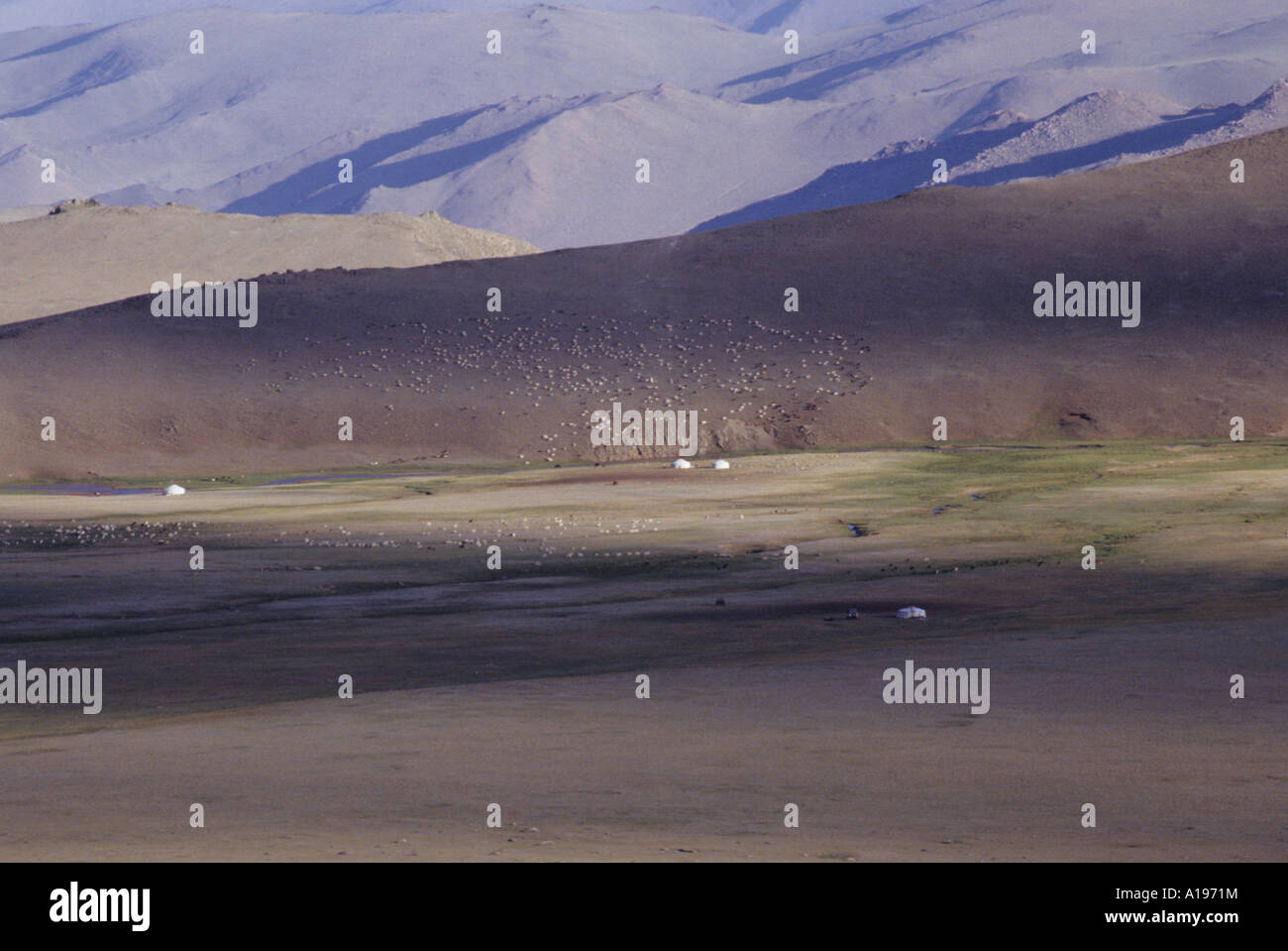 gers landscape mongolia Stock Photo - Alamy