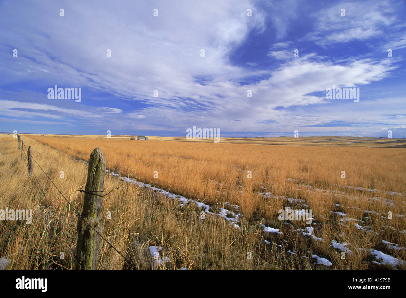 Landscape of the great wide open spaces of the prairies vast fields in ...