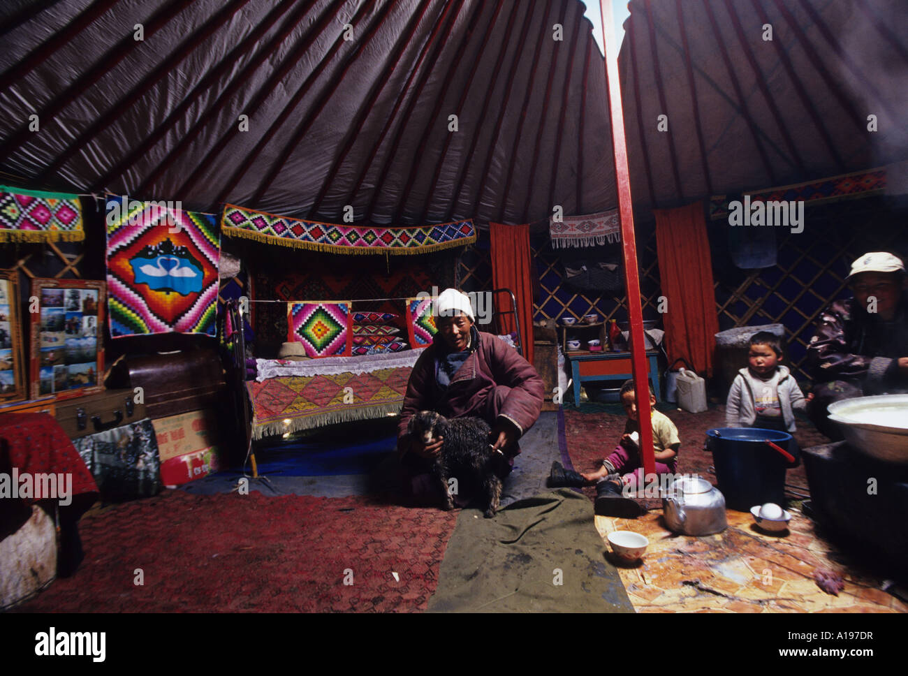 Ger interior mongolia hi-res stock photography and images - Alamy