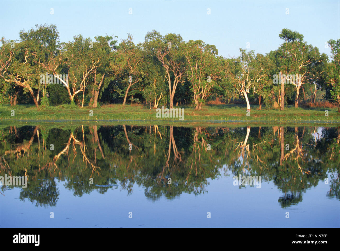 Billabongs in australia hi-res stock photography and images - Alamy