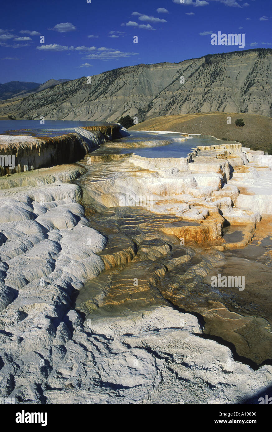 Limestone terraces formed by volcanic water depositing six inches of ...