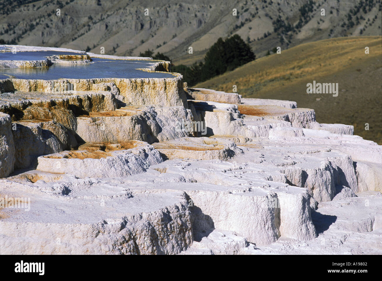 Limestone terraces formed by volcanic water depositing six inches of ...