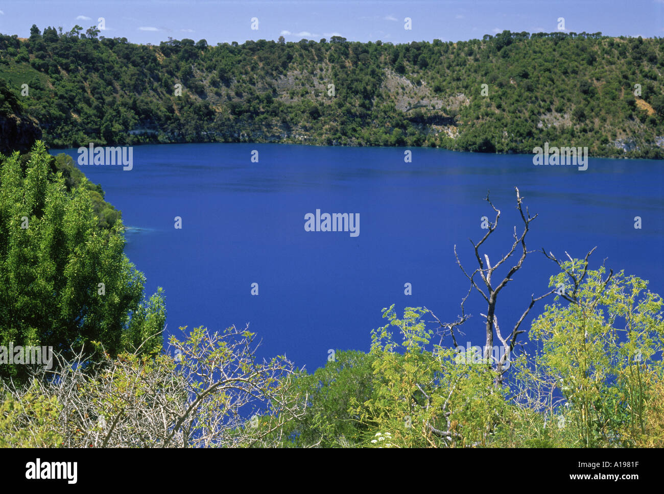 The Blue Lake one of three crater lakes at the top of Mt Gambier an ...