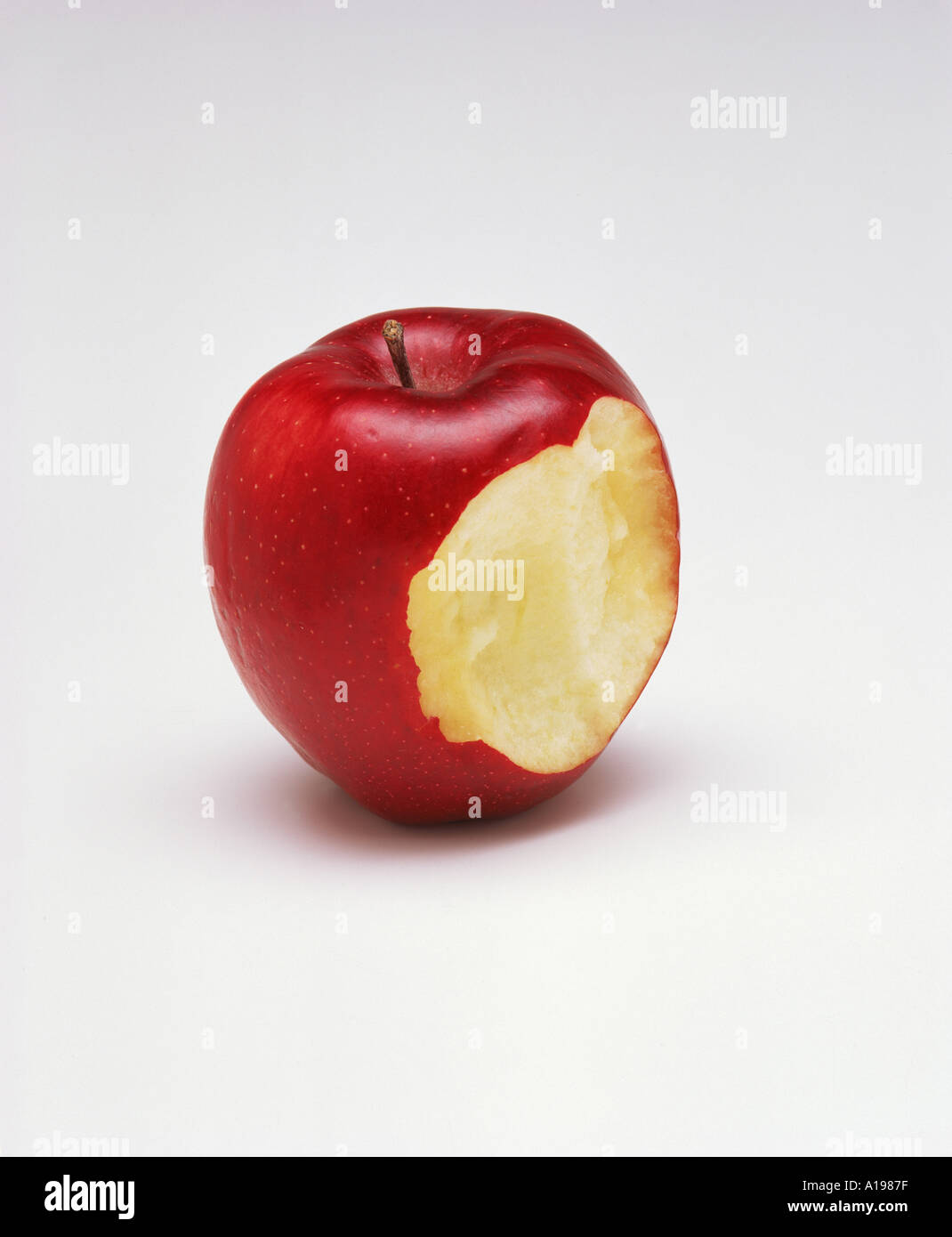 A dark red apple with a bite taken out of it M Newton Stock Photo - Alamy