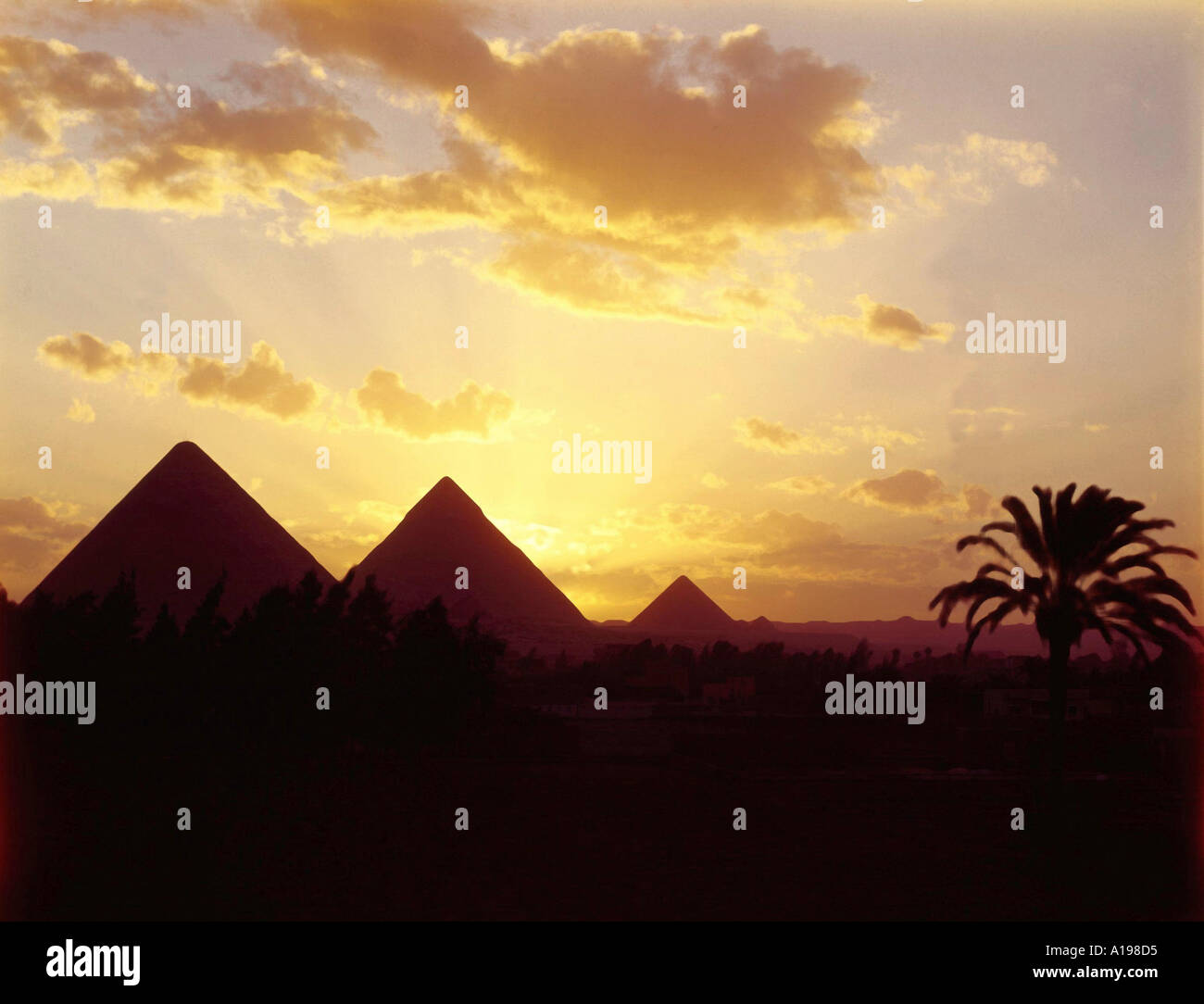 The pyramids silhouetted at dusk Giza Cairo Egypt Africa J Ross Stock ...
