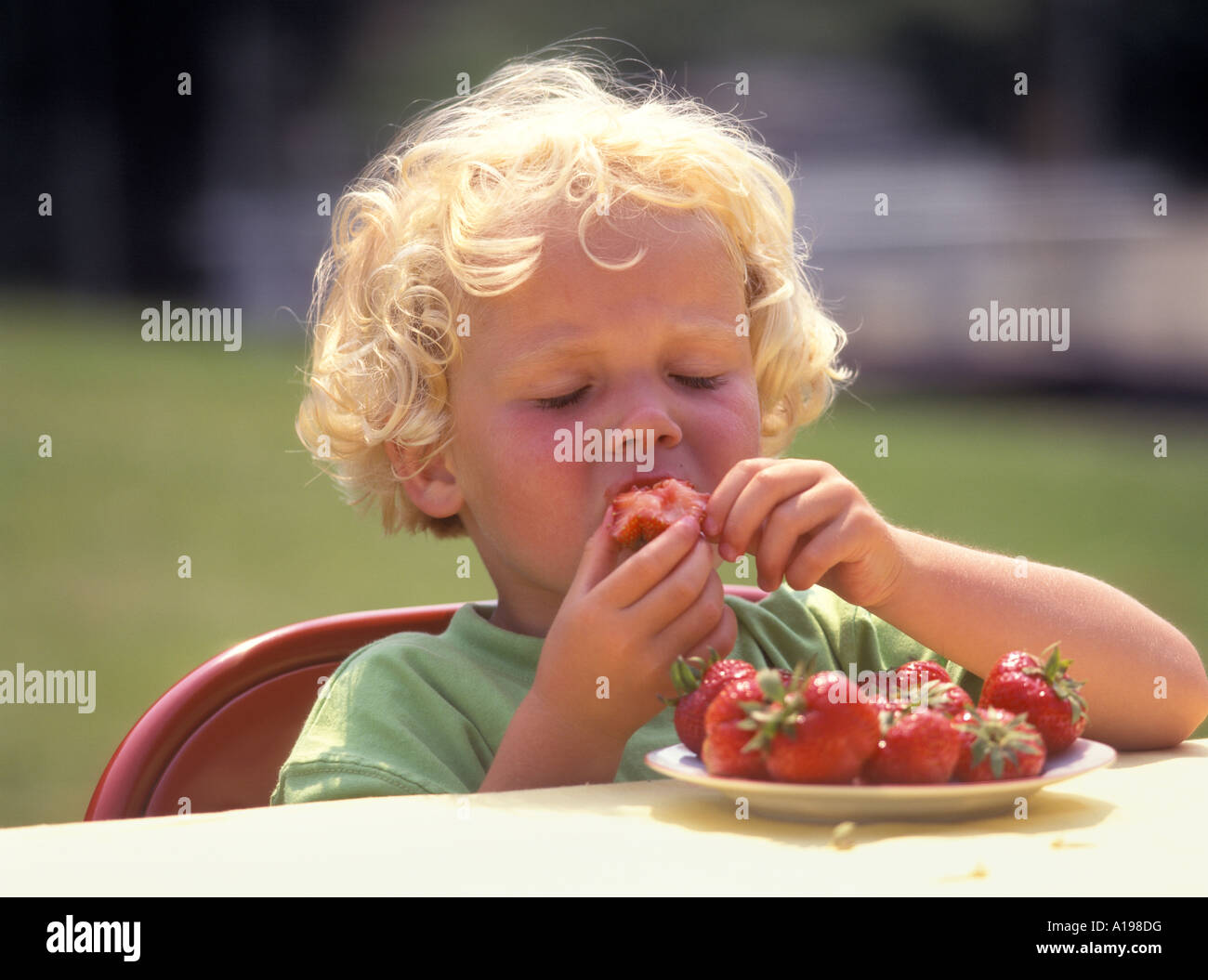 Little girl eating strawberries Stock Photo - Alamy