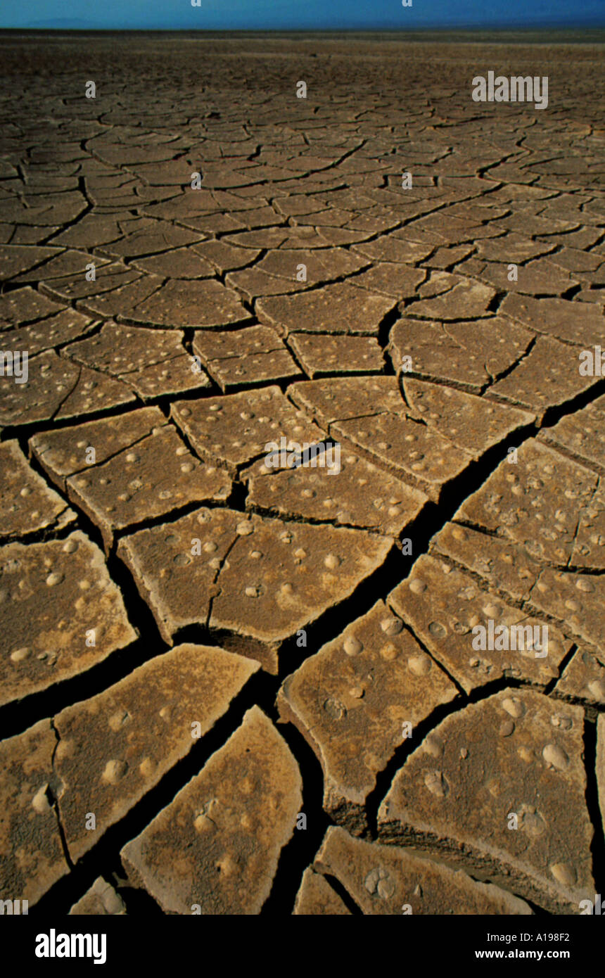 Atacama desert dry drought hi-res stock photography and images - Alamy