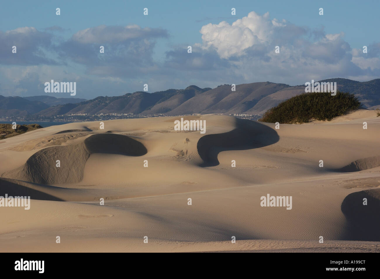 Oceano Sand Dunes Stock Photo - Alamy
