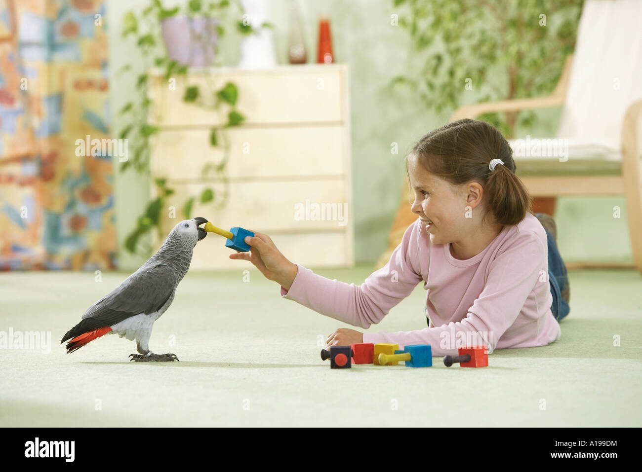 Parrot girl hi-res stock photography and images - Alamy
