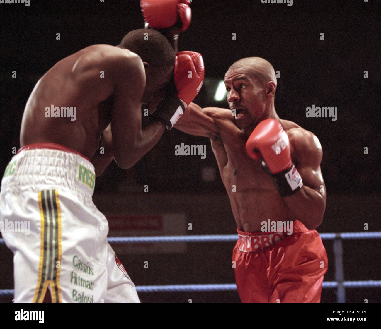 Boxing Steve Robinson Stock Photo - Alamy