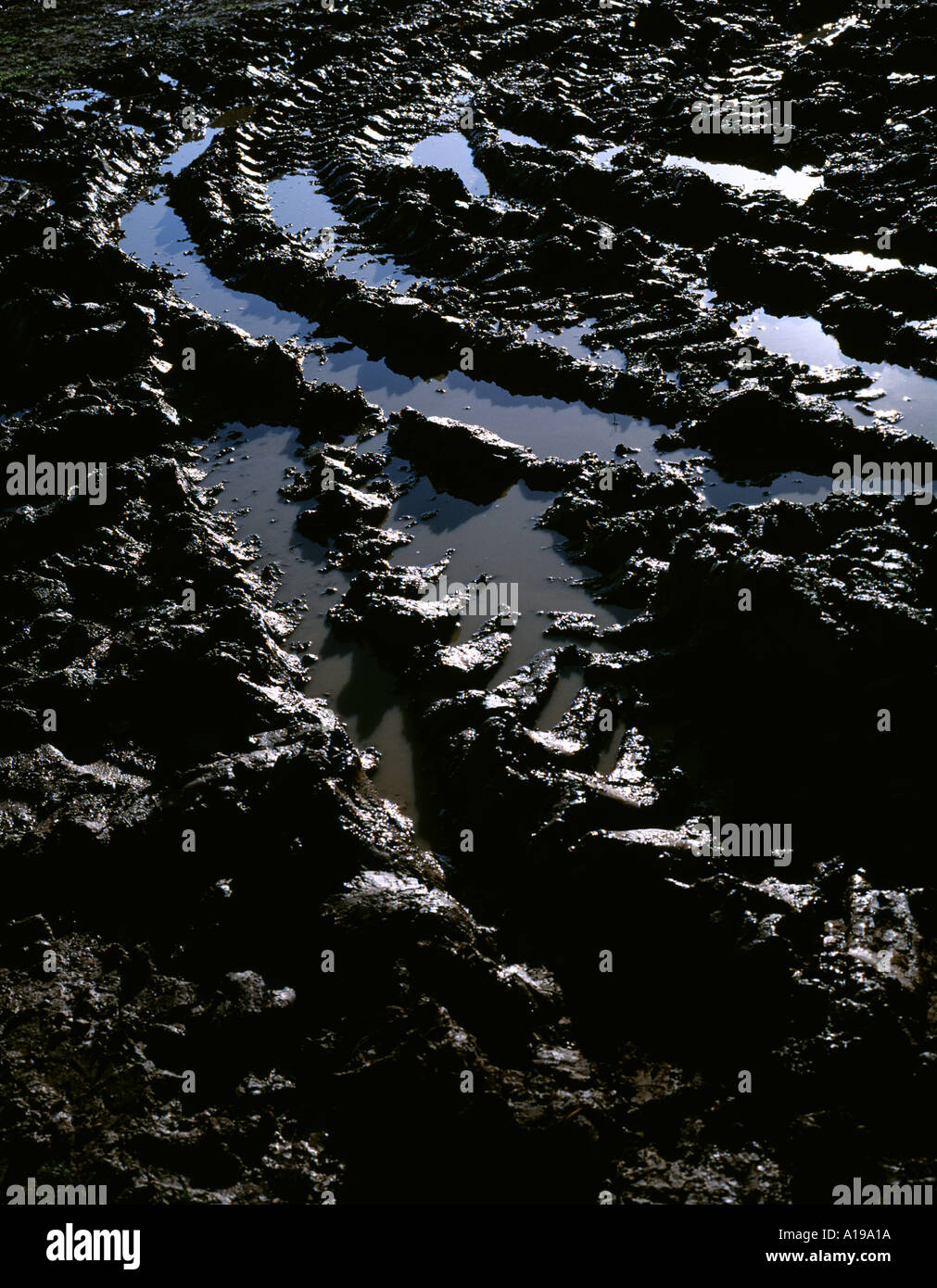 Churned mud hi-res stock photography and images - Alamy