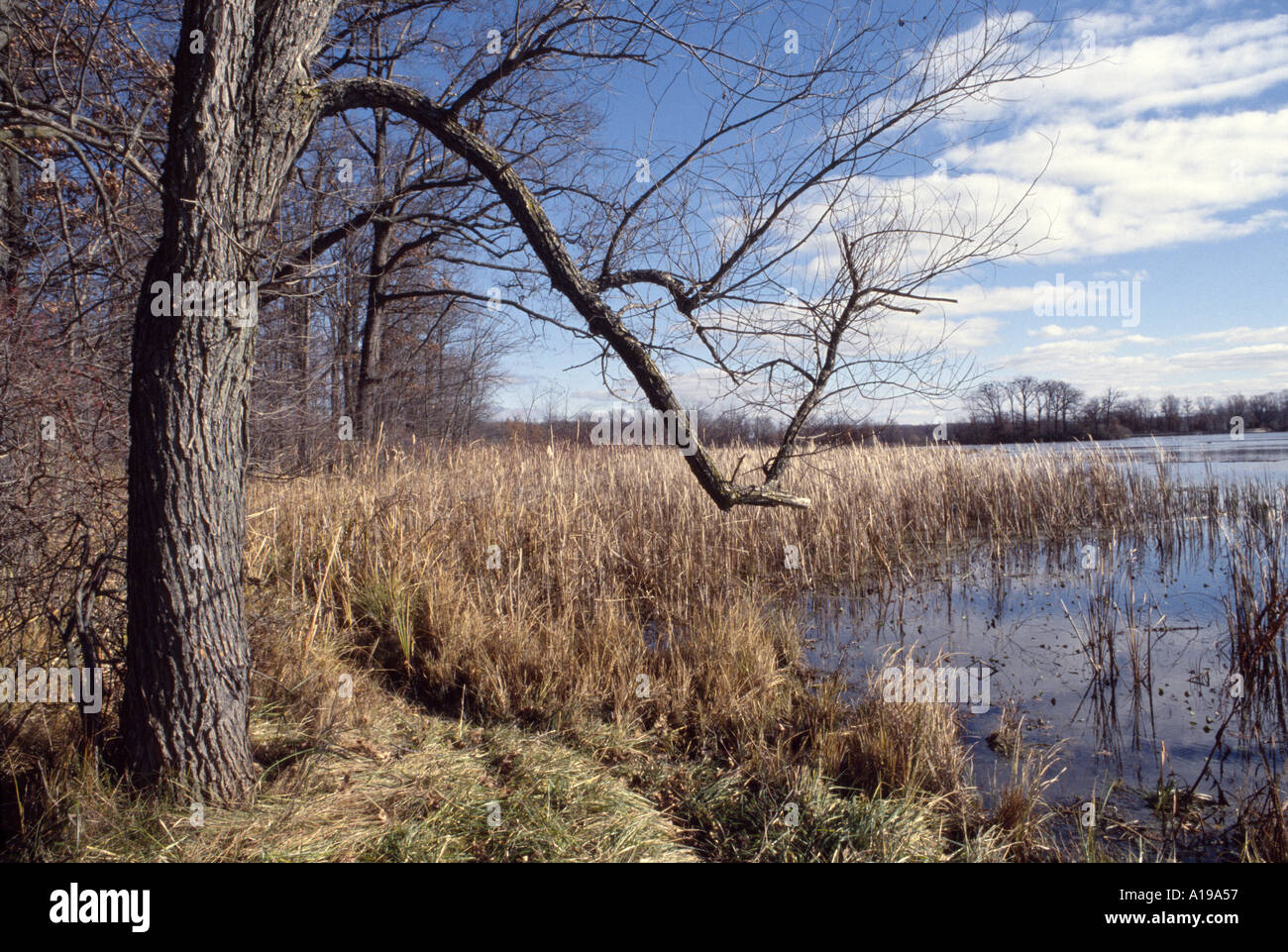 Kensington metropark hi-res stock photography and images - Alamy