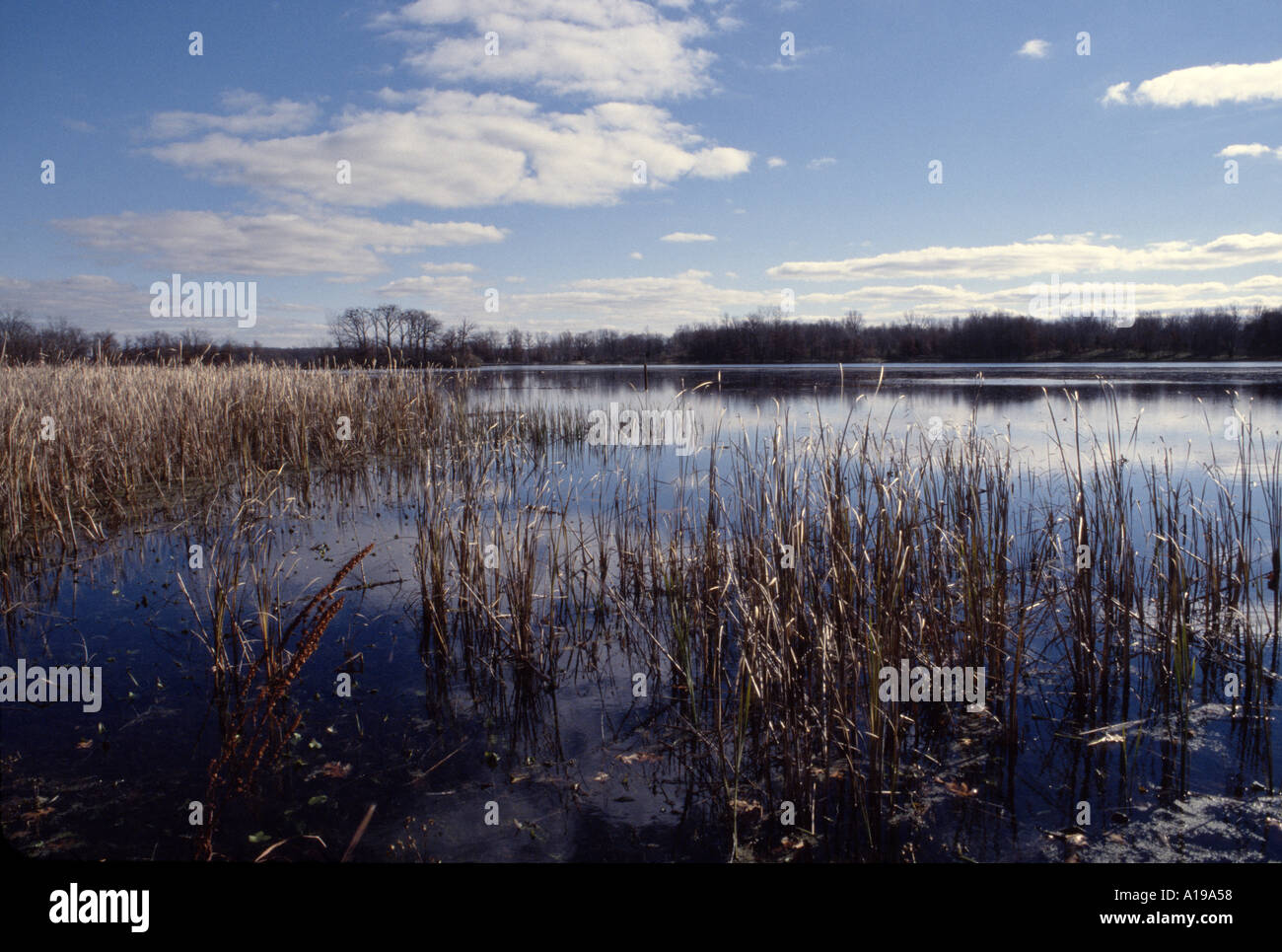 Kensington metropark hi-res stock photography and images - Alamy