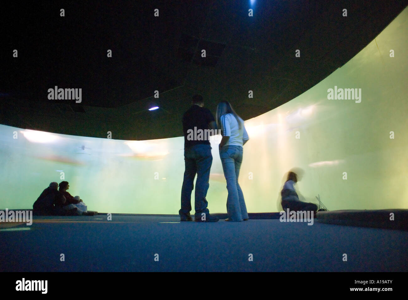 Ring of the sharks, shark tank show, marine aquarium, Saint-Malo ...