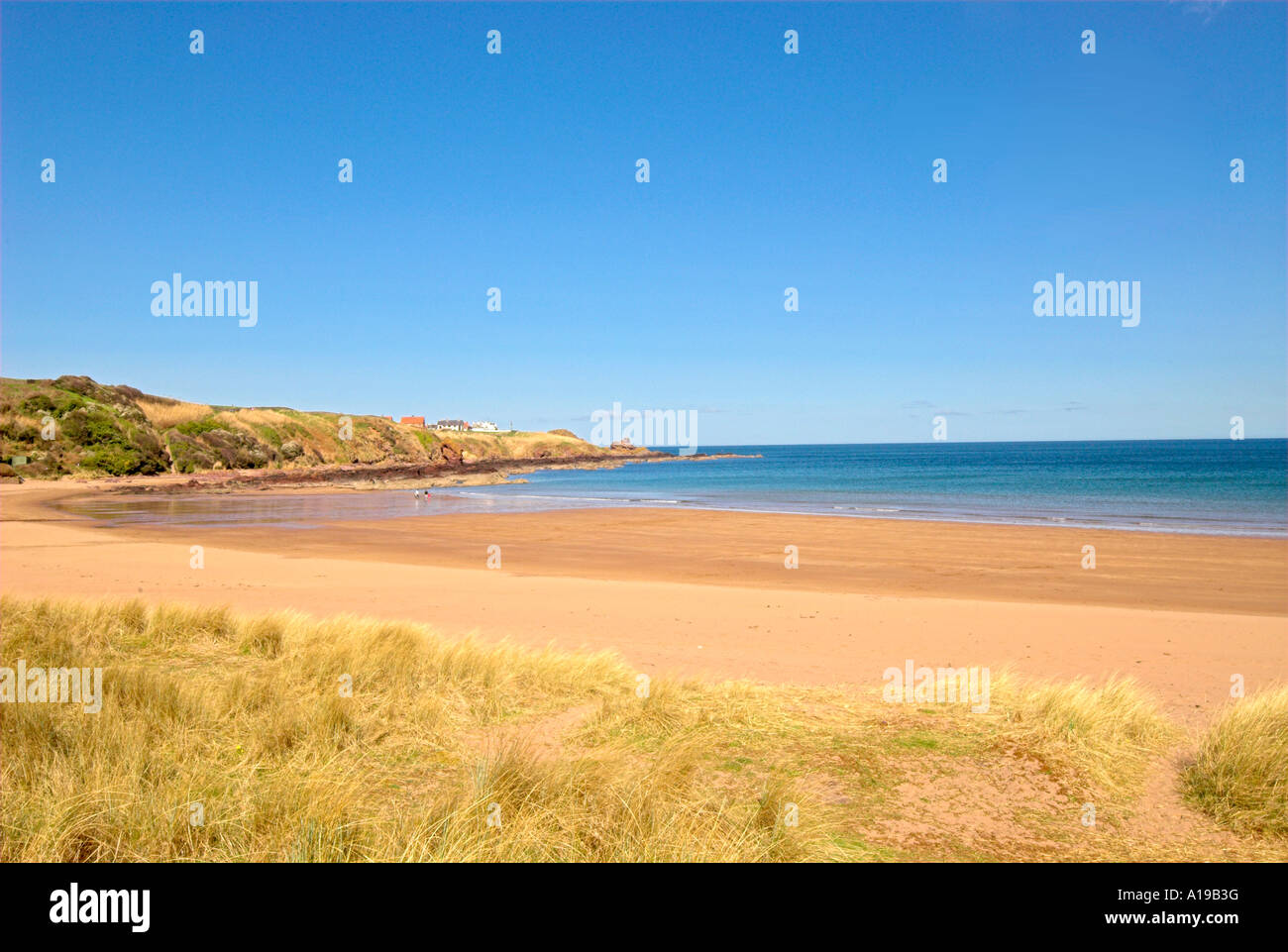 The beach at Coldingham Scottish Borders Stock Photo - Alamy