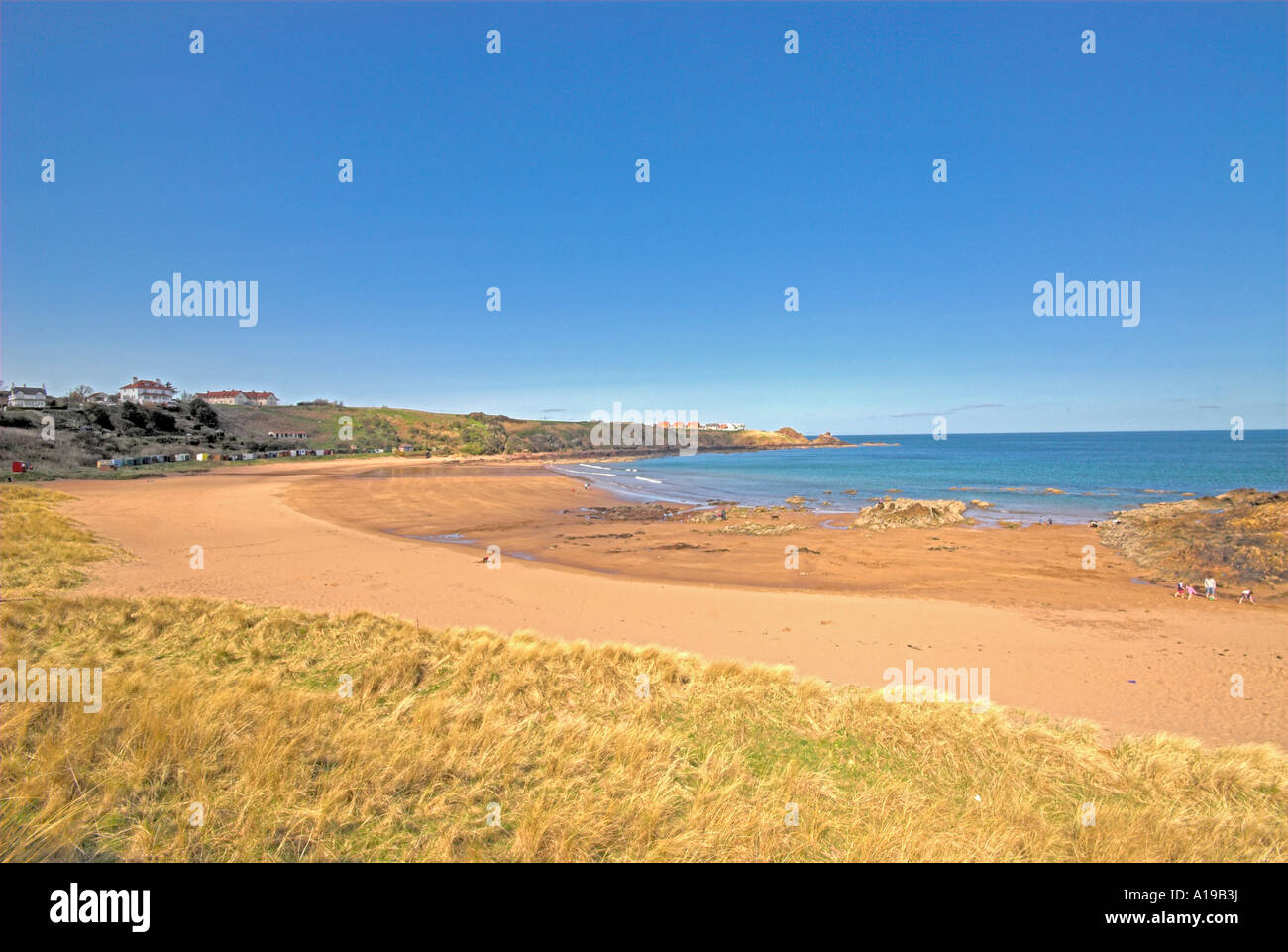 The beach at Coldingham Scottish Borders Stock Photo - Alamy