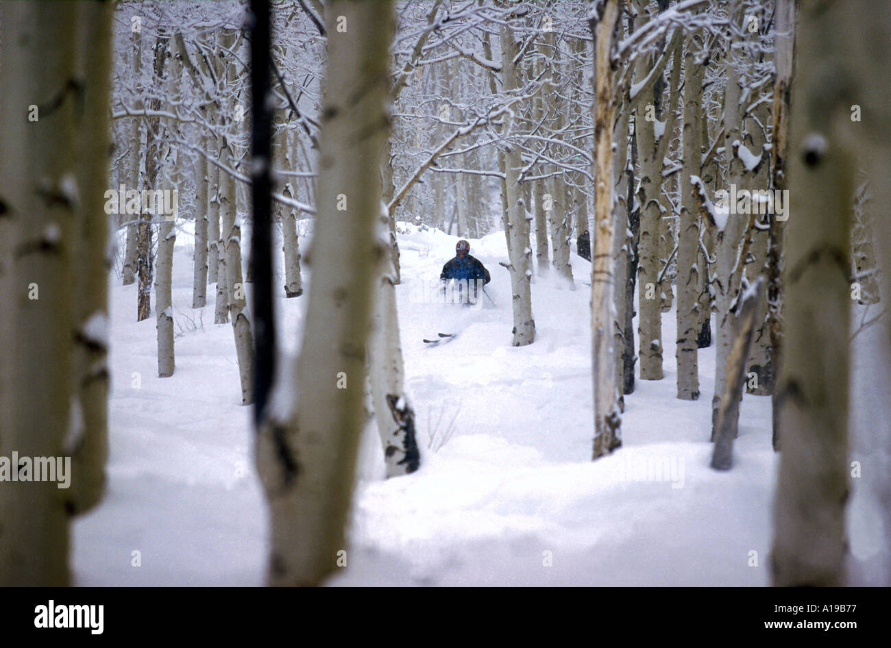 Telemarking america hi-res stock photography and images - Alamy