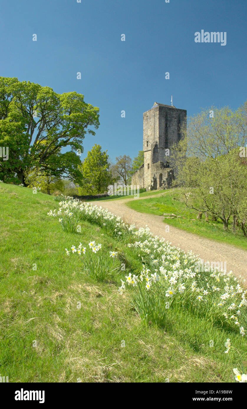 Mugdock Castle , Mugdock nr Strathblane Stirling District Scotland ...