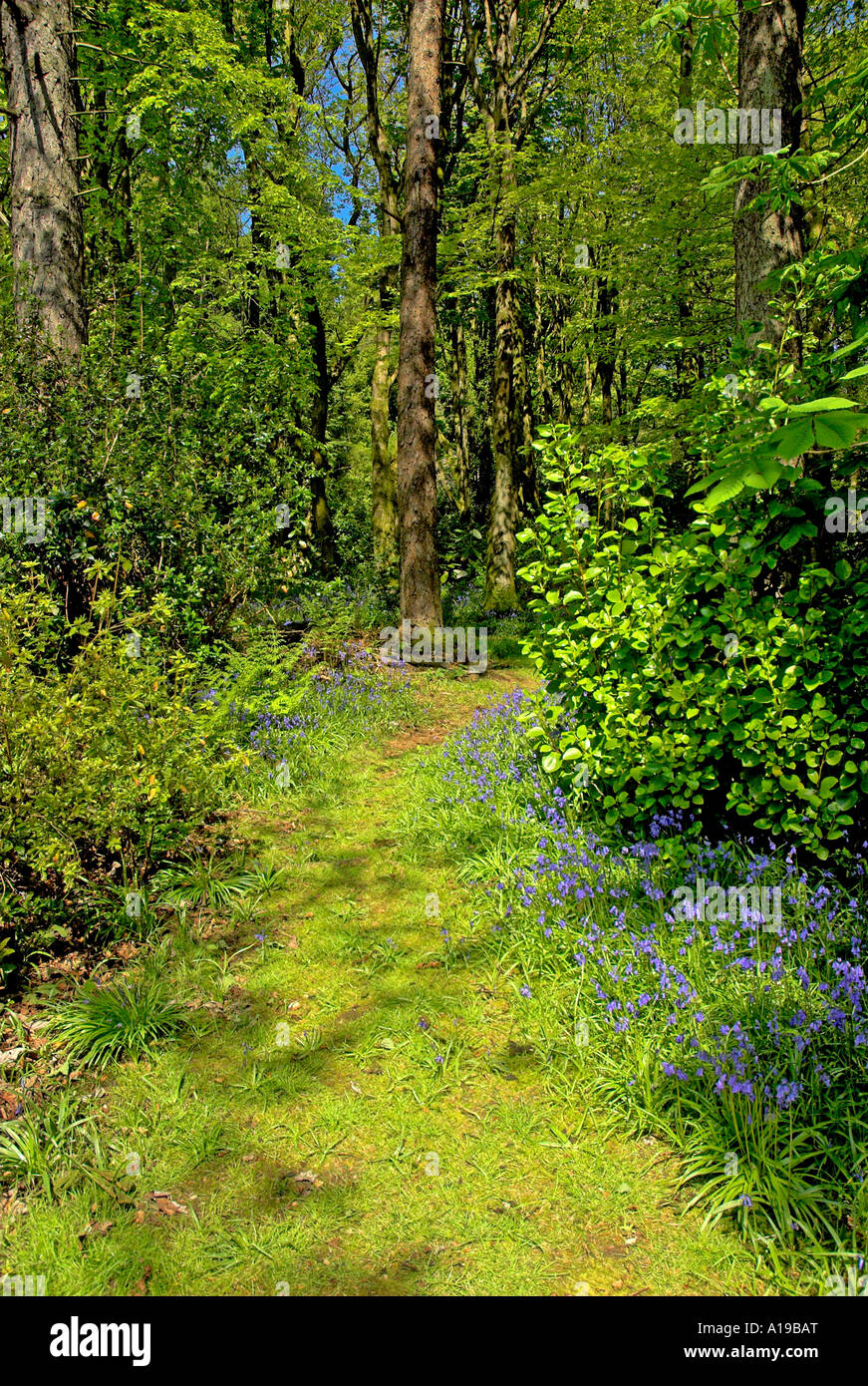 Achamore garden gigha hi-res stock photography and images - Alamy