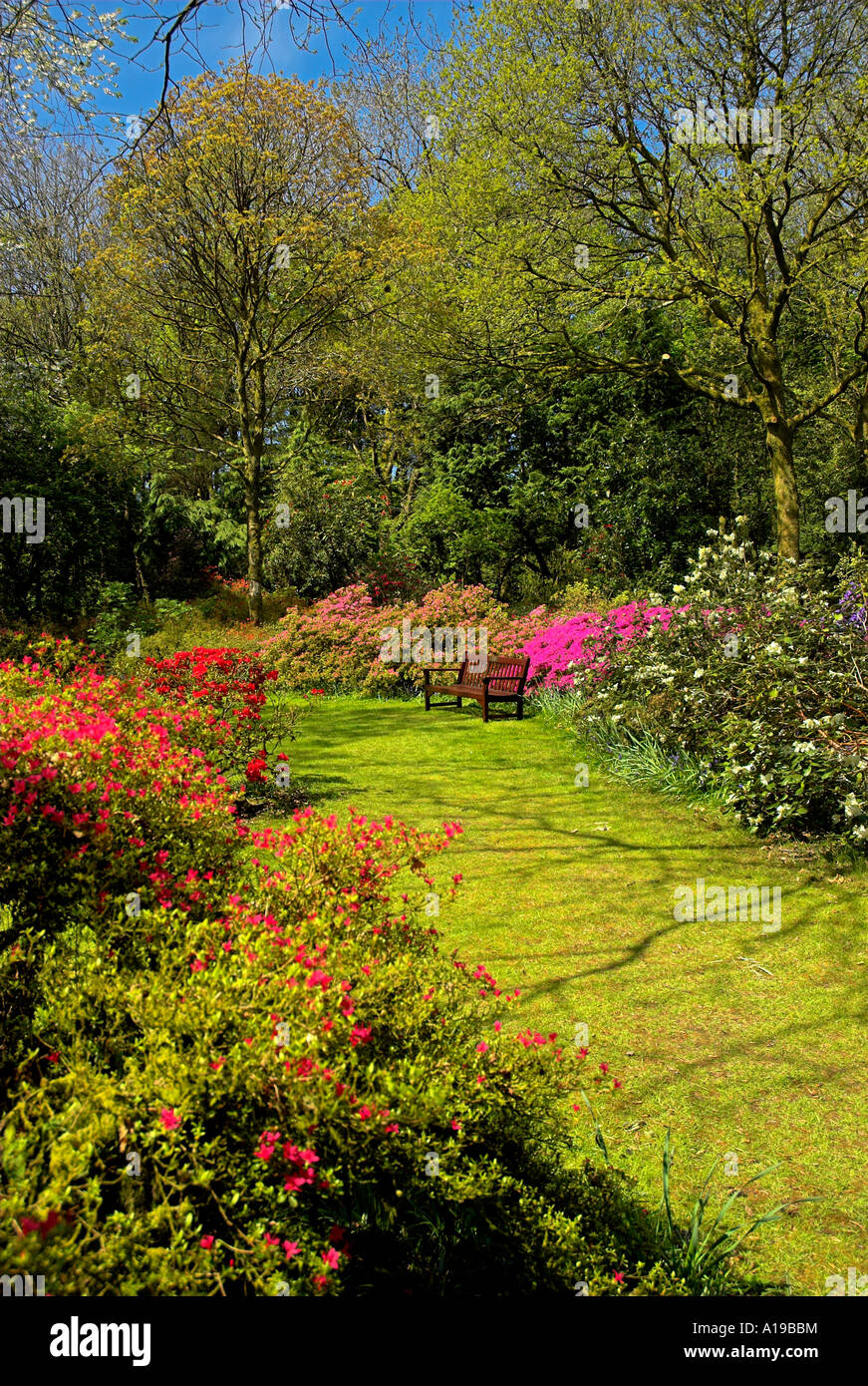 Gardens Achamore House Isle of Gigha Argyll & Bute Stock Photo - Alamy