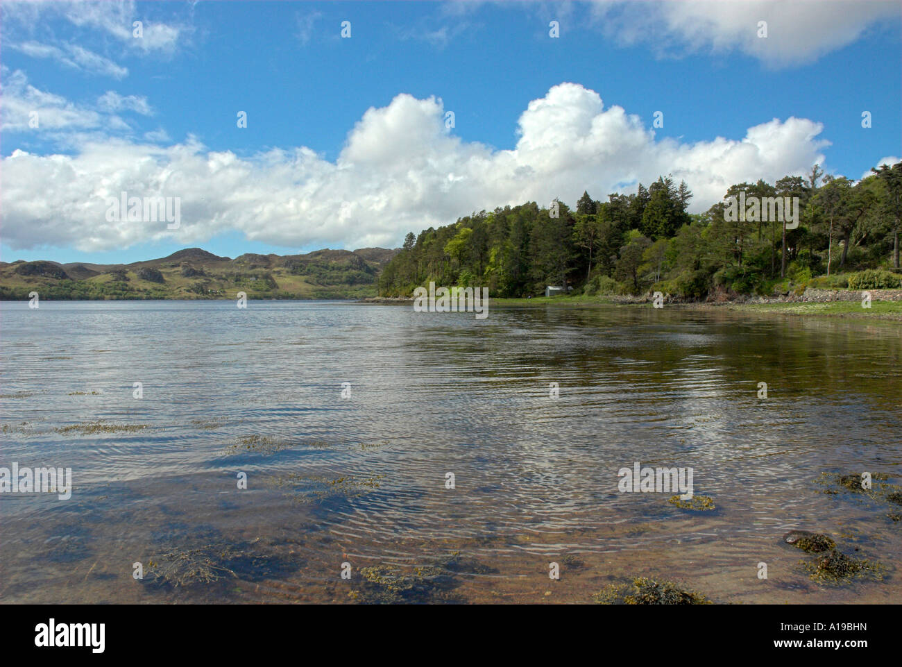 Loch Ewe ar Inverewe Gardens Poolewe WEster Rosss Highland Scotland ...